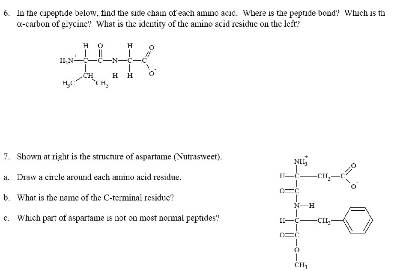 Solved 6. In the dipeptide below, find the side chain of | Chegg.com