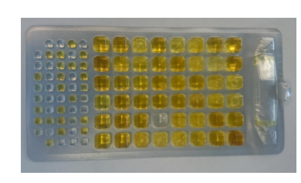 Solved For total coliforms: a yellow colour is a positive | Chegg.com