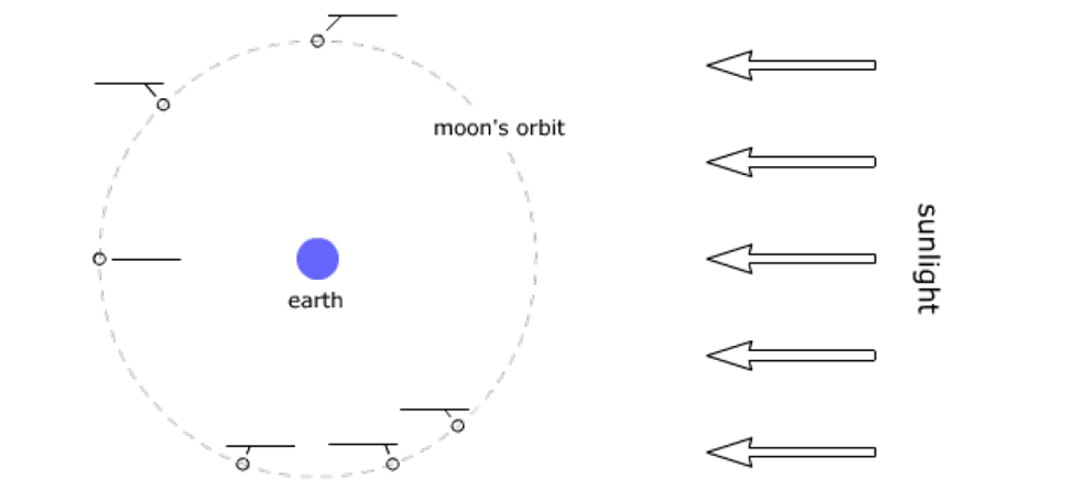 Solved From the perspective of an observer above the North | Chegg.com