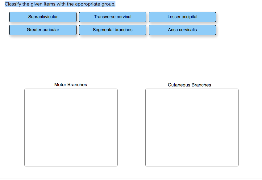 Solved Classify the given items with the appropriate group. | Chegg.com Solved Classify the given items with the appropriate group. | Chegg.com