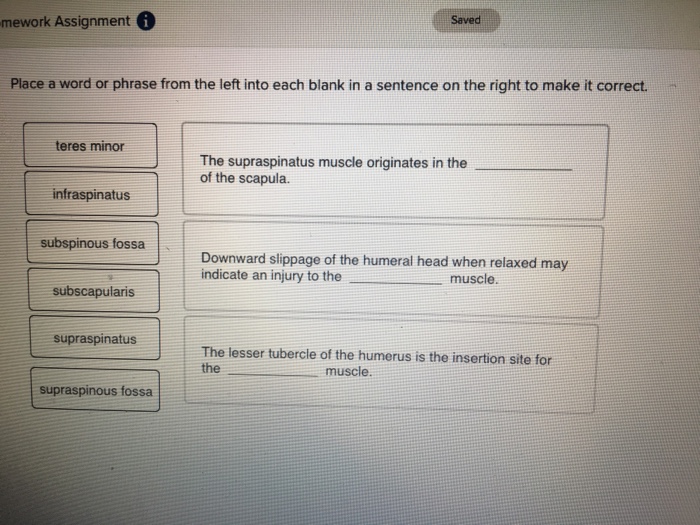 Solved mework Assignment 6 Saved Place a word or phrase from | Chegg.com Solved mework Assignment 6 Saved Place a word or phrase from | Chegg.com