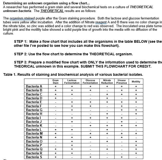 Solved Determining an unknown organism using a flow chart... | Chegg.com