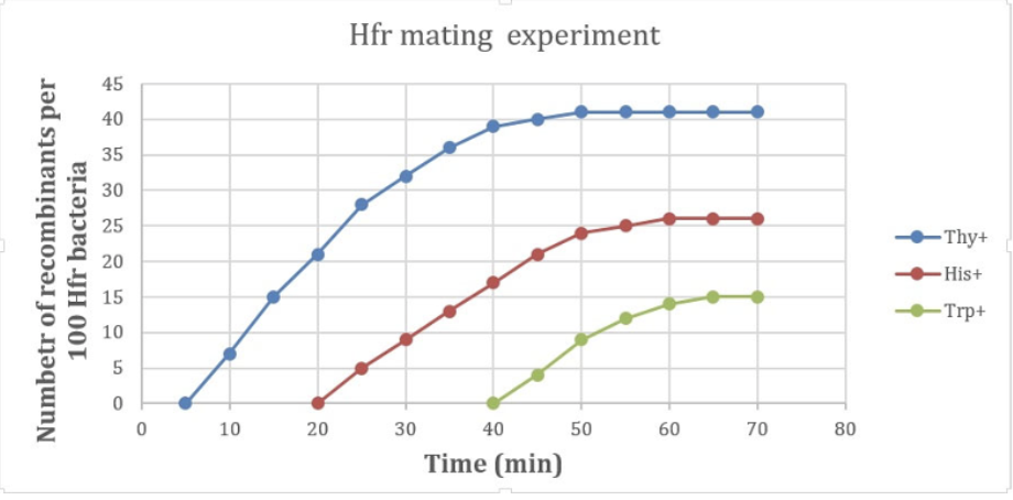 Solved Shown below are the results of an interrupted mating | Chegg.com