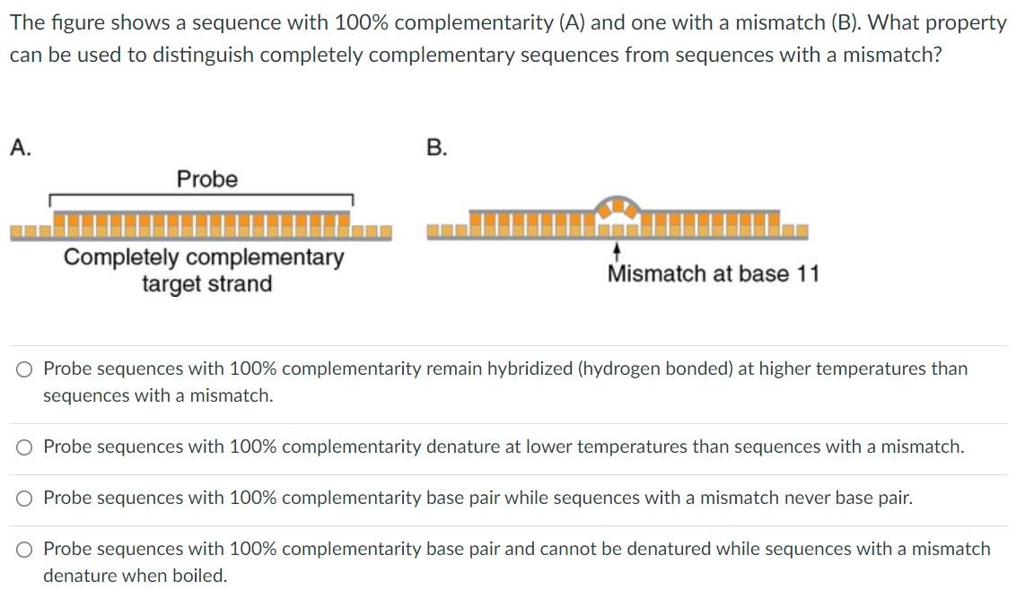 Solved The figure shows a sequence with 100% complementarity | Chegg.com