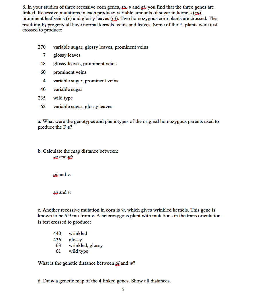Solved 8 In Your Studies Of Three Recessive Corn Genes Su Chegg solved-8-in-your-studies-of-three-recessive-corn-genes-su-chegg