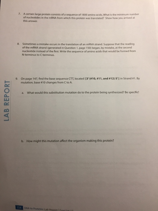 Solved EXERCISE 12: LAB REPORT DNA to Proteins Name: Date: | Chegg.com