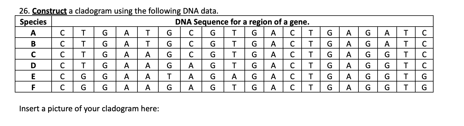 26. Construct a cladogram using the following DNA | Chegg.com