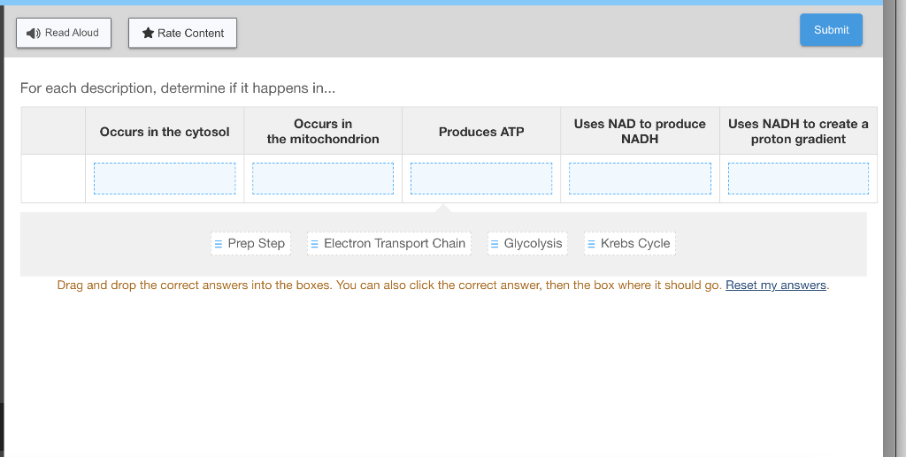 Solved Read Aloud Rate Content Submit For each description, | Chegg.com