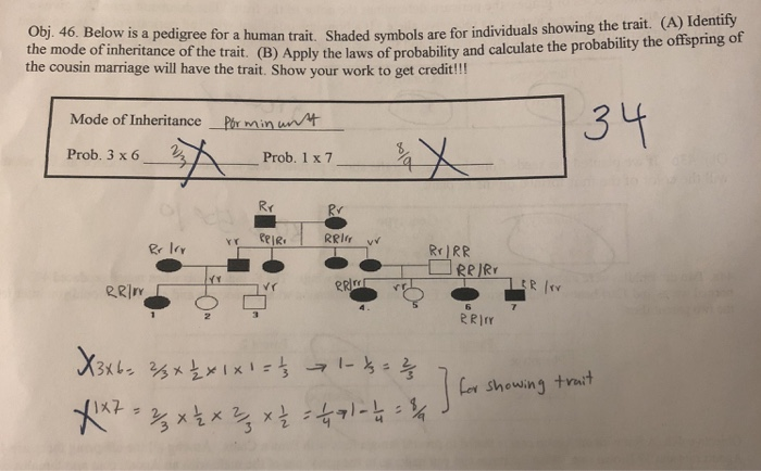 Solved Obj. 46. Below is a pedigree the mode of inheritance | Chegg.com