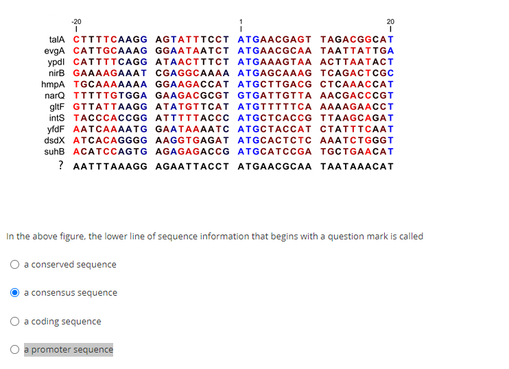 Solved In the above figure, the lower line of sequence | Chegg.com