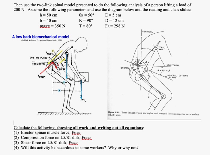 this is a biomechanical engineering question,can you | Chegg.com