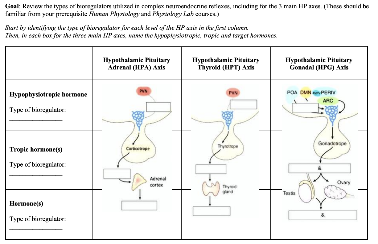 Solved Goal: Review the types of bioregulators utilized in | Chegg.com