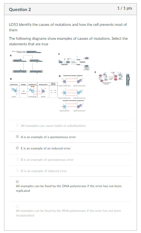 Solved LO53 Identify the causes of mutations and how the | Chegg.com