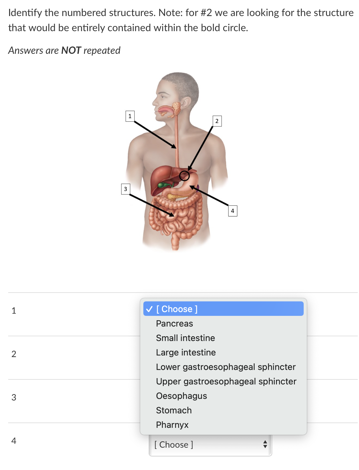 Solved Identify the numbered structures. Note: for #2 we are | Chegg.com