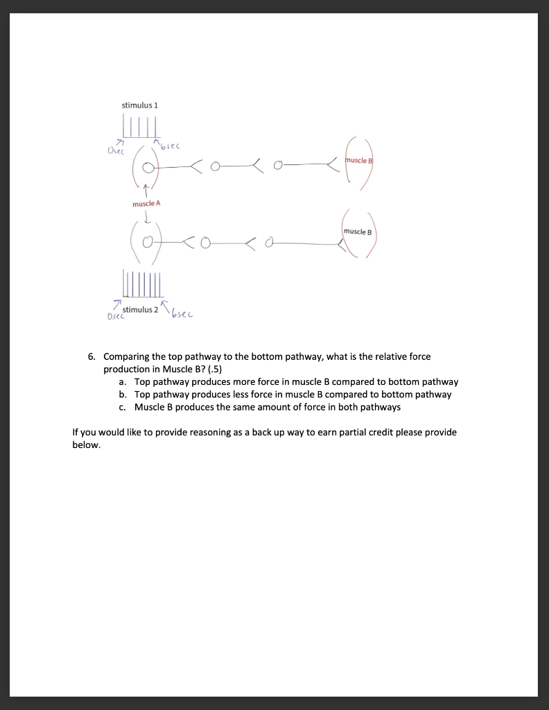 Solved 1. Below is a generic neuron. Neurons bring in | Chegg.com