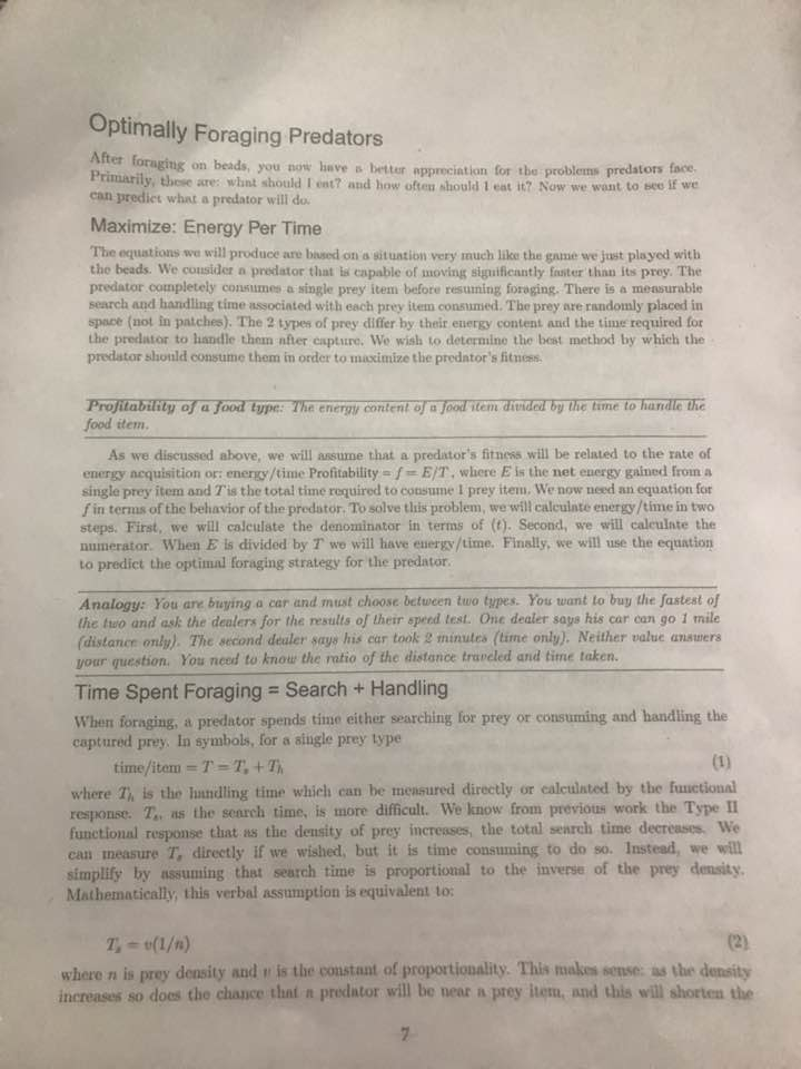 Solved Optimally Foraging Predators After foraging on beads, | Chegg.com
