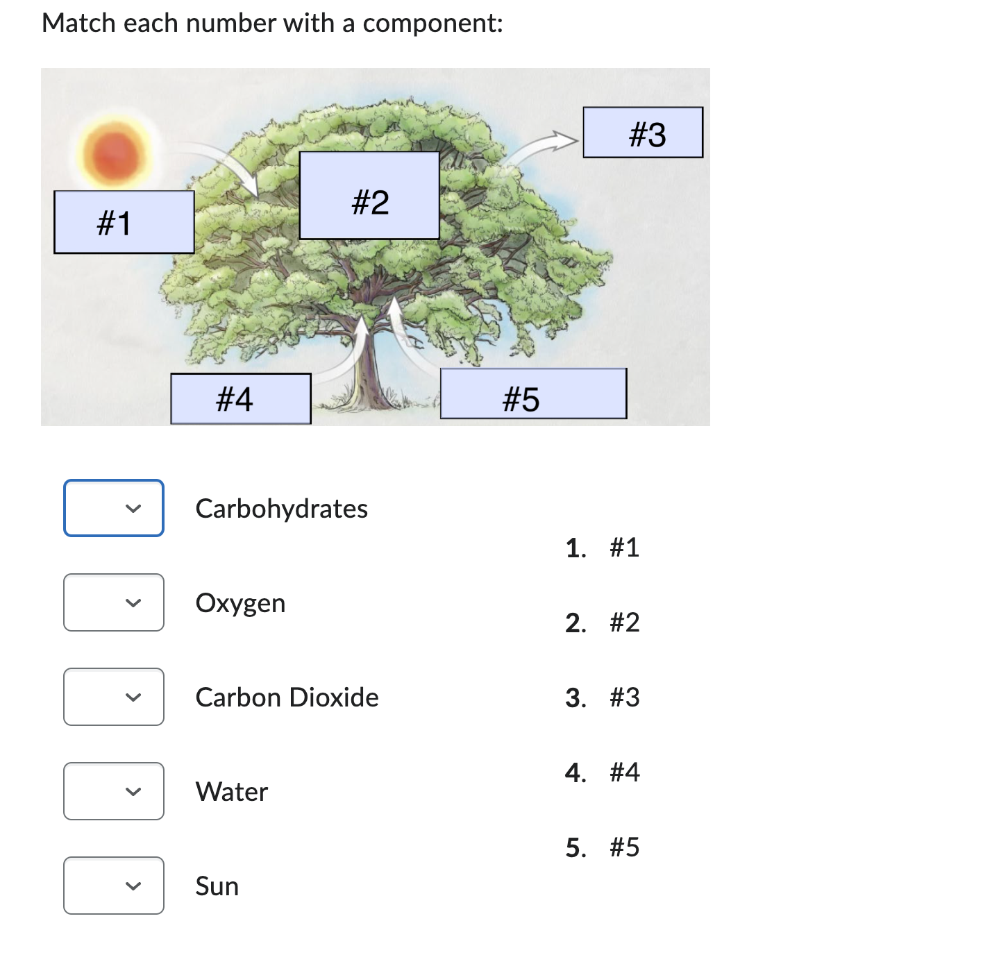 Solved Match each number with a component: | Chegg.com