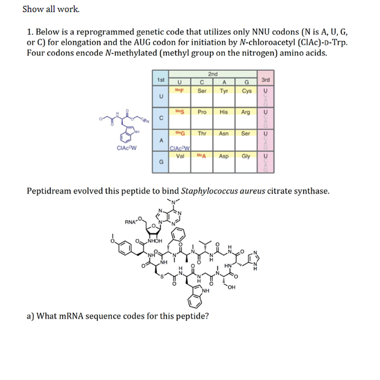 What is the sequence using the NNU codon table | Chegg.com