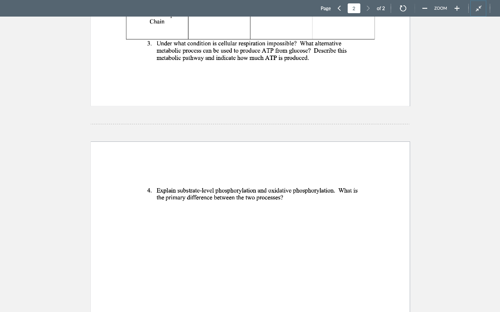 Objective This Assignment Provides Additional 8868