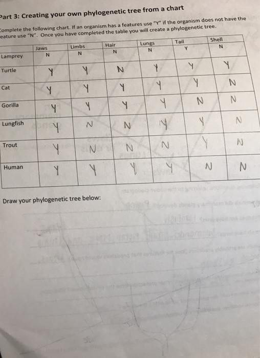 Solved art 3: Creating your own phylogenetic tree from a | Chegg.com