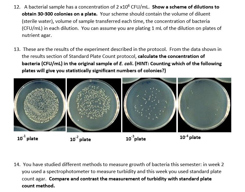 Solved 12. A bacterial sample has a concentration of 2 x106 | Chegg.com