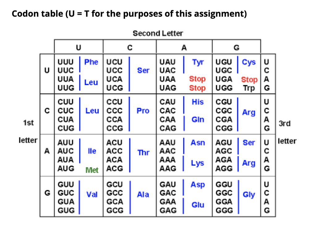 Solved Codon table (U = T for the purposes of this | Chegg.com