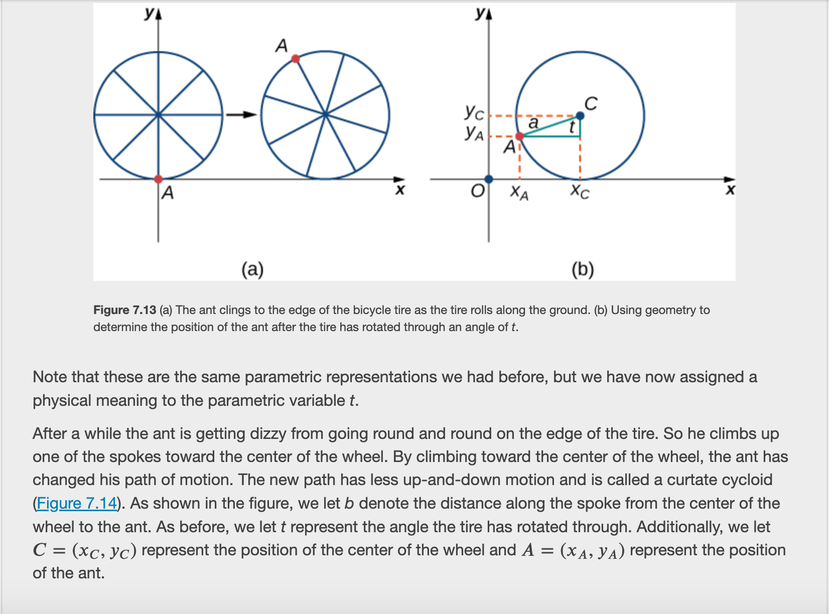Travels with My Ant: The Curtate and Prolate Cycloids | Chegg.com