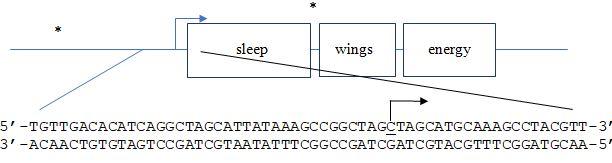 You then make a screen to identify potential mutants | Chegg.com