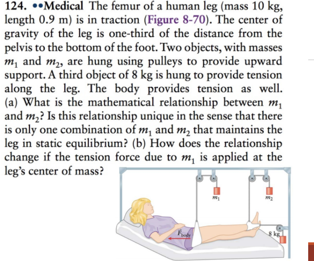 Solved 124. ••Medical The femur of a human leg (mass 10 kg, | Chegg.com