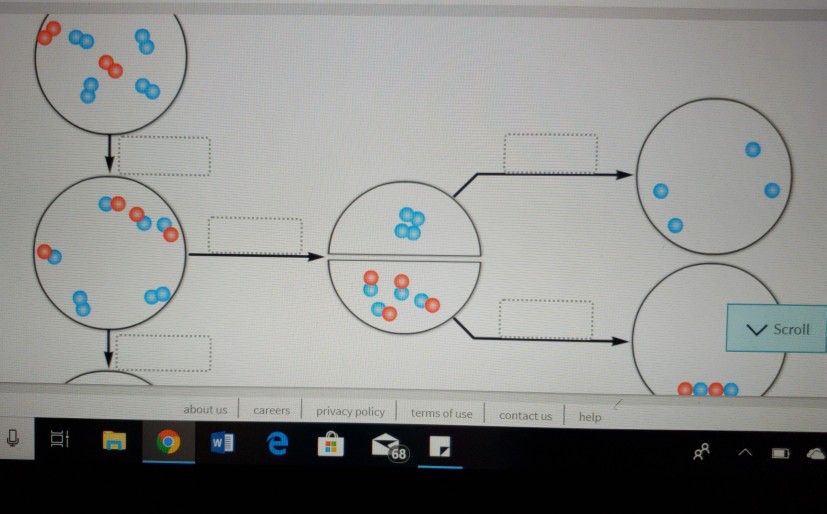 Solved label each transition in this flowchart as a chemical | Chegg.com
