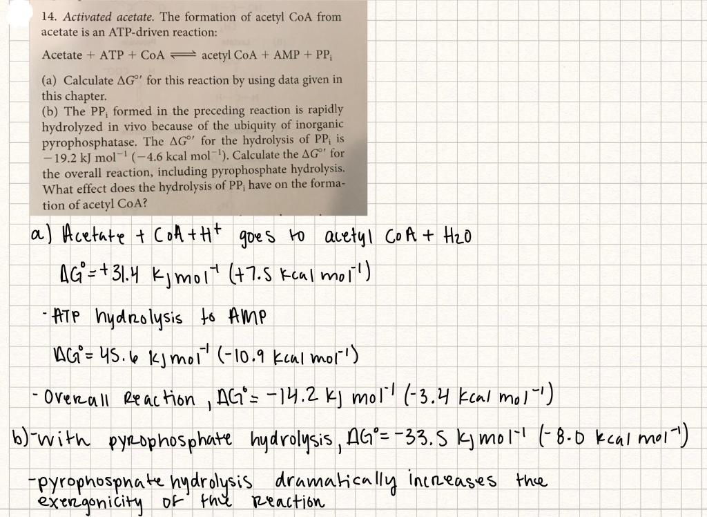 Solved 14. Activated acetate. The formation of acetyl CoA | Chegg.com