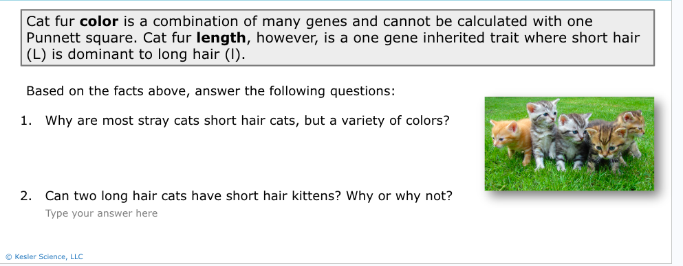 Solved Cat fur color is a combination of many genes and | Chegg.com