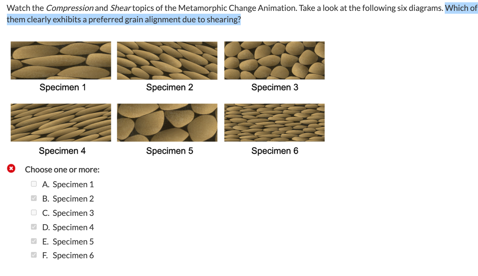 Solved Which of them clearly exhibits a preferred grain | Chegg.com