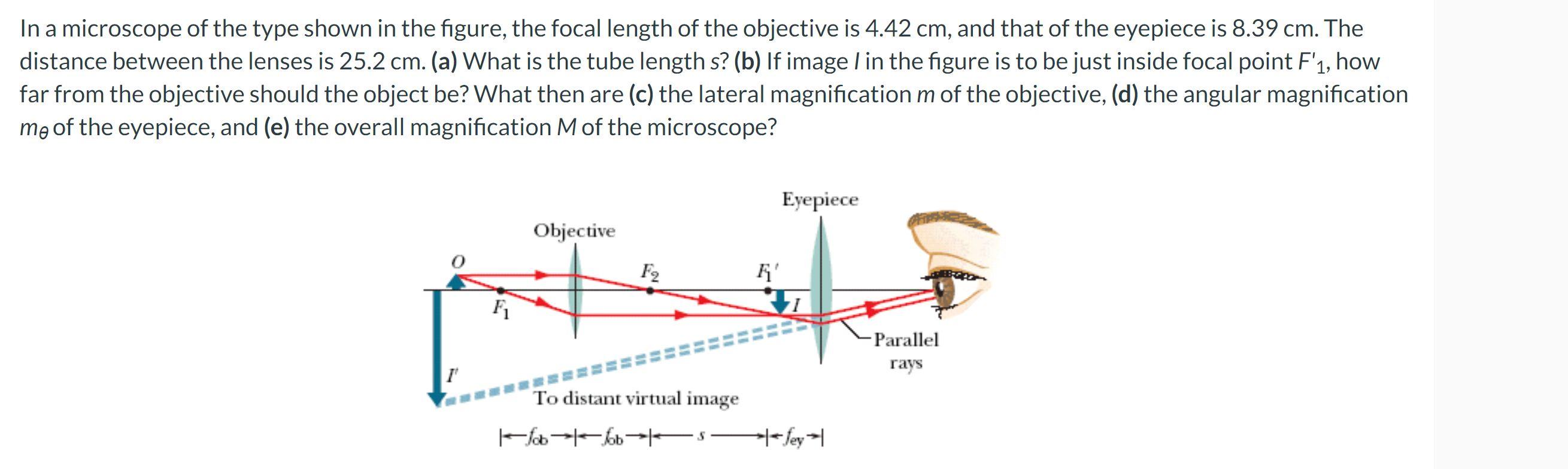 Solved In a microscope of the type shown in the figure, the | Chegg.com