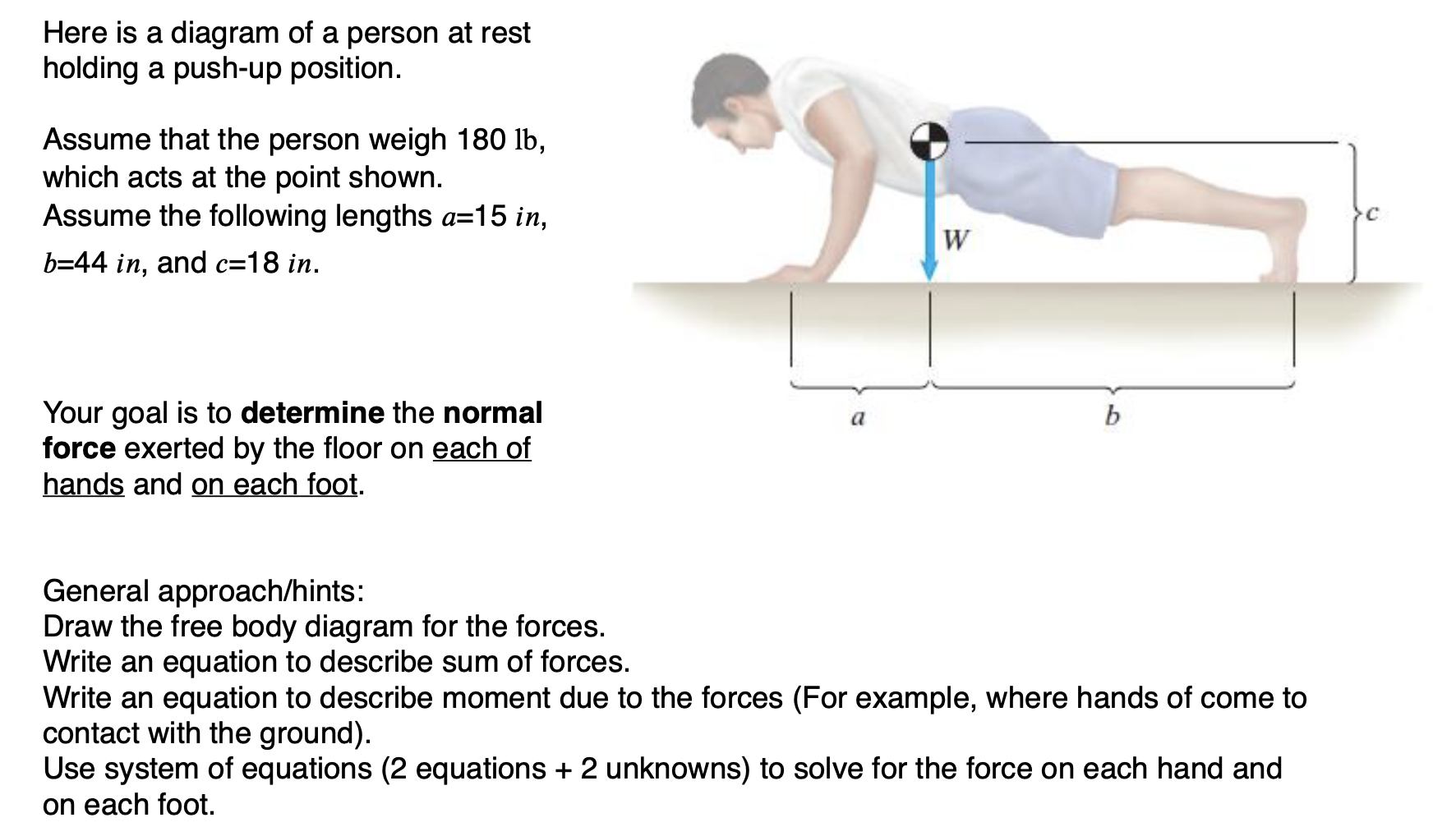 Solved Here is a diagram of a person at rest holding a | Chegg.com