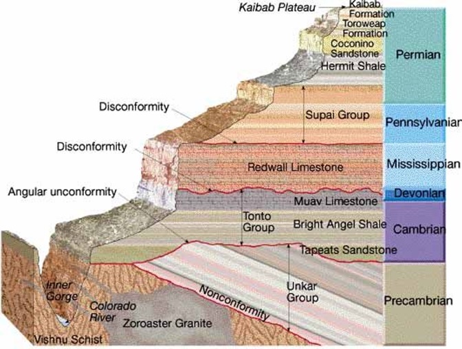 Solved Place the layers of the Grand Canyon in the correct | Chegg.com
