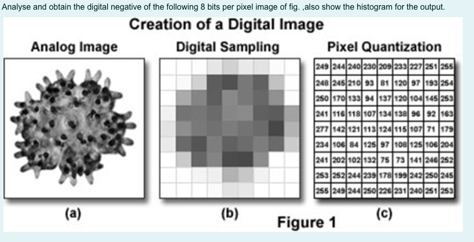 Solved Analyse and obtain the digital negative of the | Chegg.com