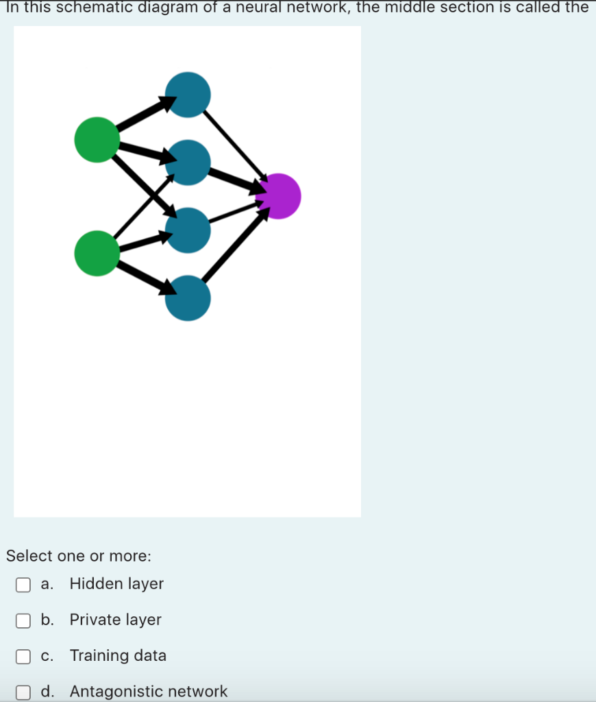 Solved Select one or more: a. Hidden layer b. Private layer | Chegg.com