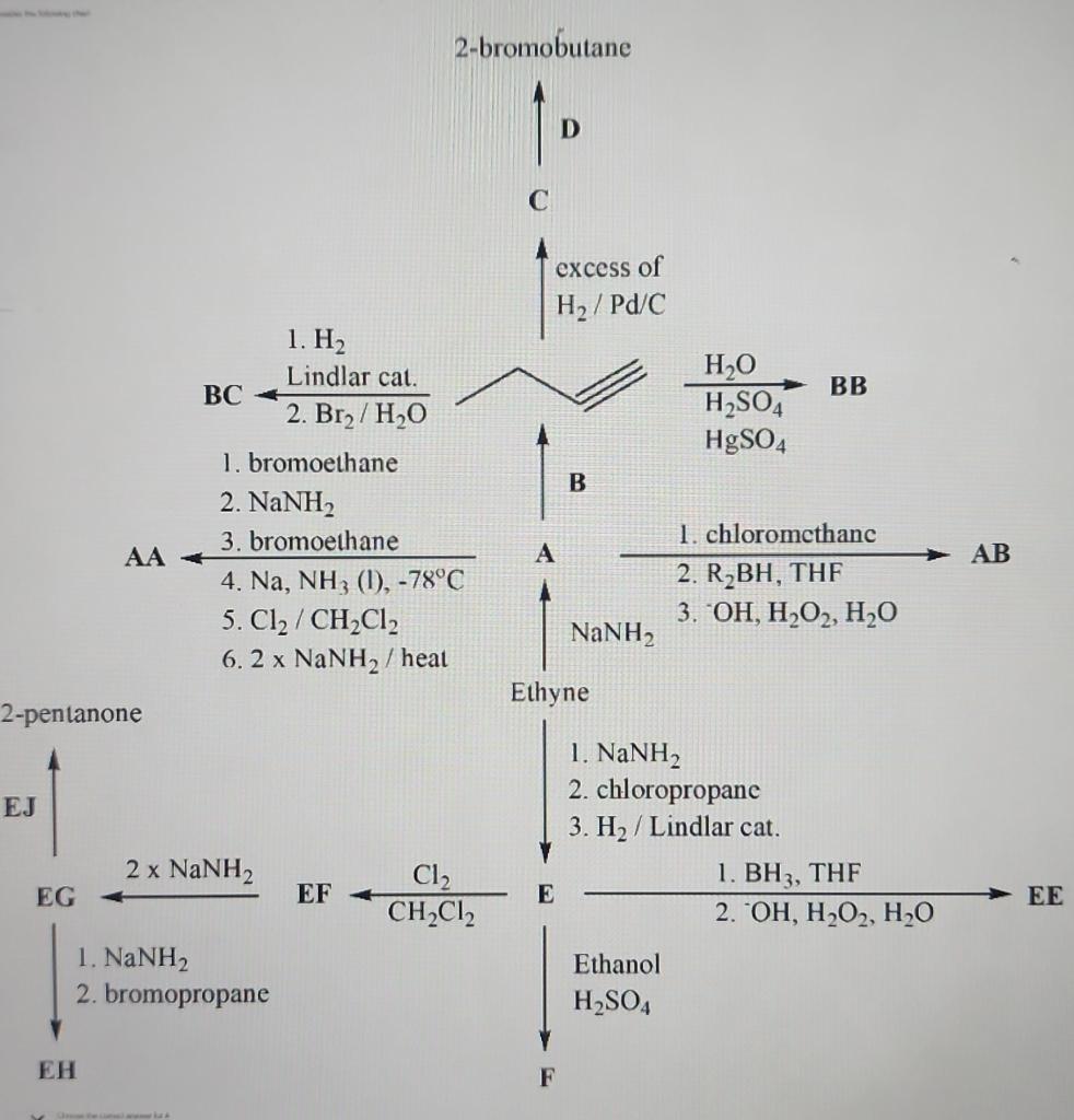 Solved 1. 2-ethoxypentane 2. H2O1,H2SO4,HgSO4 3. Butane 4. | Chegg.com