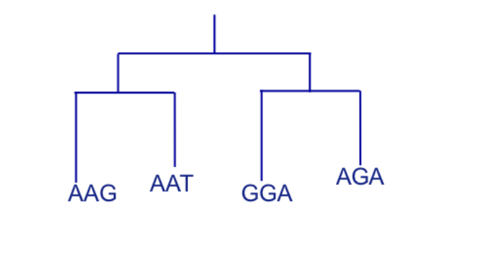 Solved Apply the maximum parsimony method (Fitch’s | Chegg.com