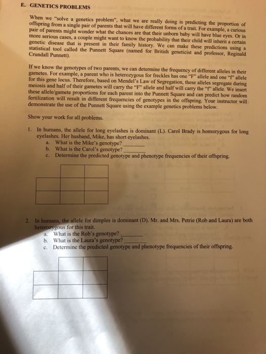 Solved E. GENETICS PROBLEMS When we "solve a genetics | Chegg.com