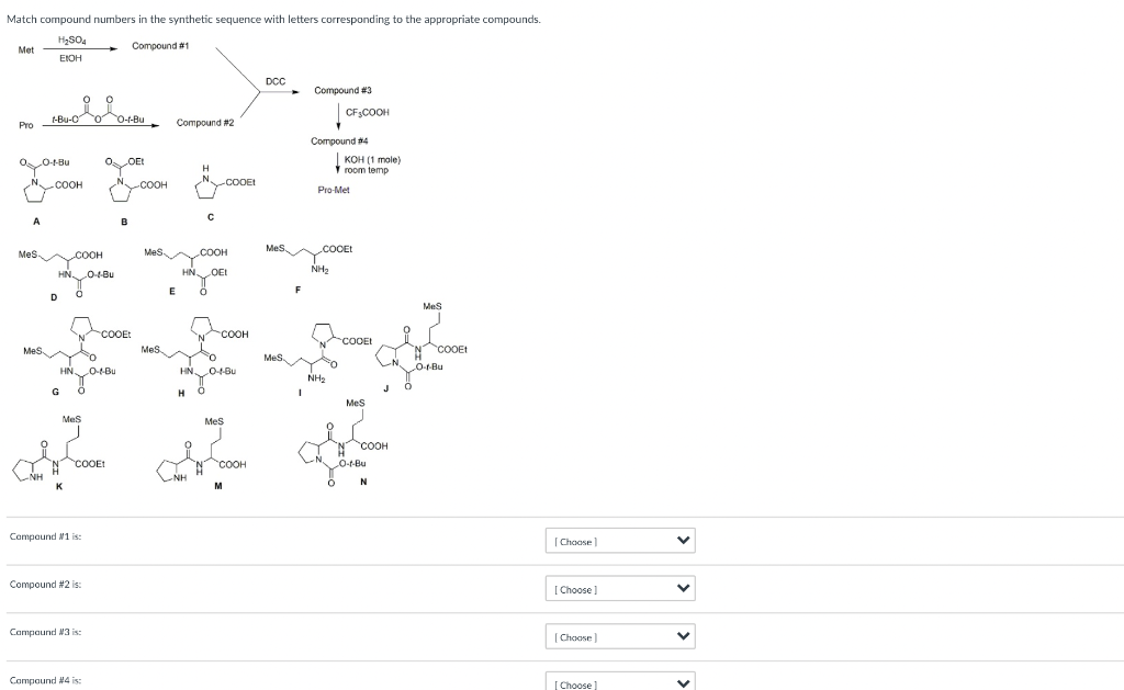 Solved Match compound numbers in the synthetic sequence with | Chegg.com