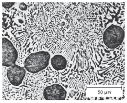 The microstructure of a Pb-Sn alloy is shown below. | Chegg.com