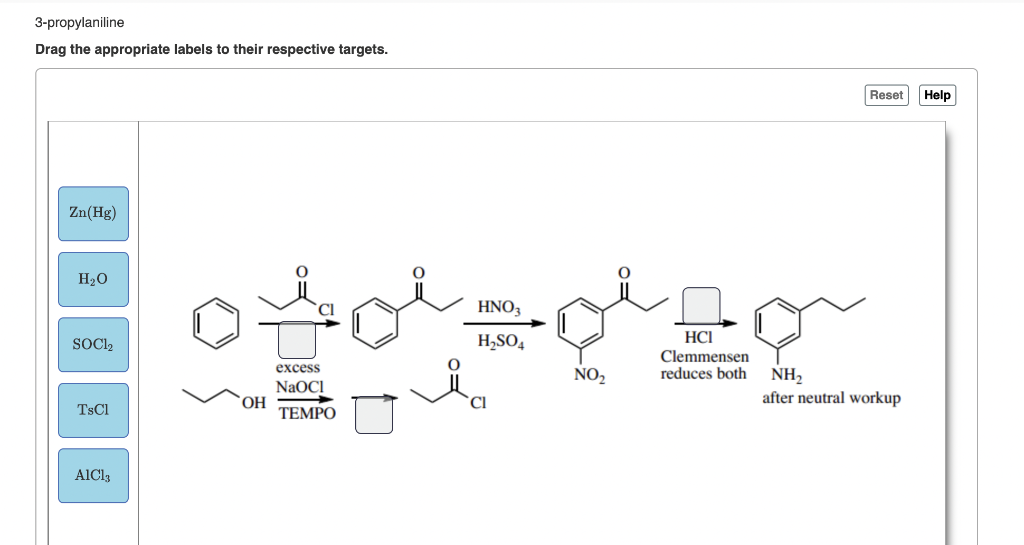 Solved 3-propylaniline Drag the appropriate labels to their | Chegg.com