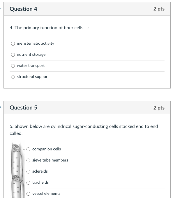 Solved Question 4 2 pts 4. The primary function of fiber | Chegg.com