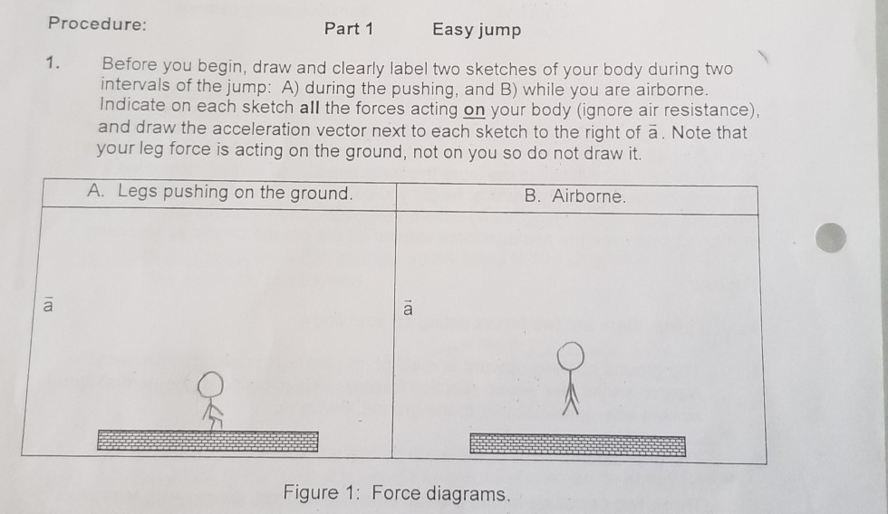 Solved Procedure Part 1 Easy jump 1. Before you begin, draw | Chegg.com