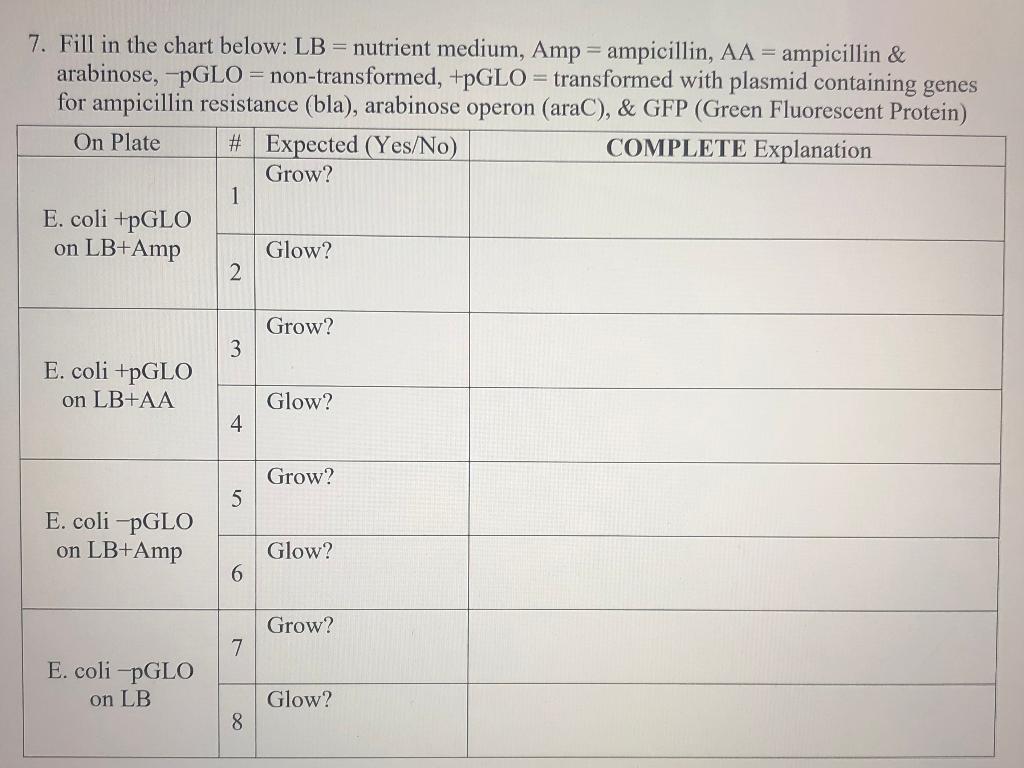 Solved 7. Fill in the chart below: LB = nutrient medium, Amp | Chegg.com