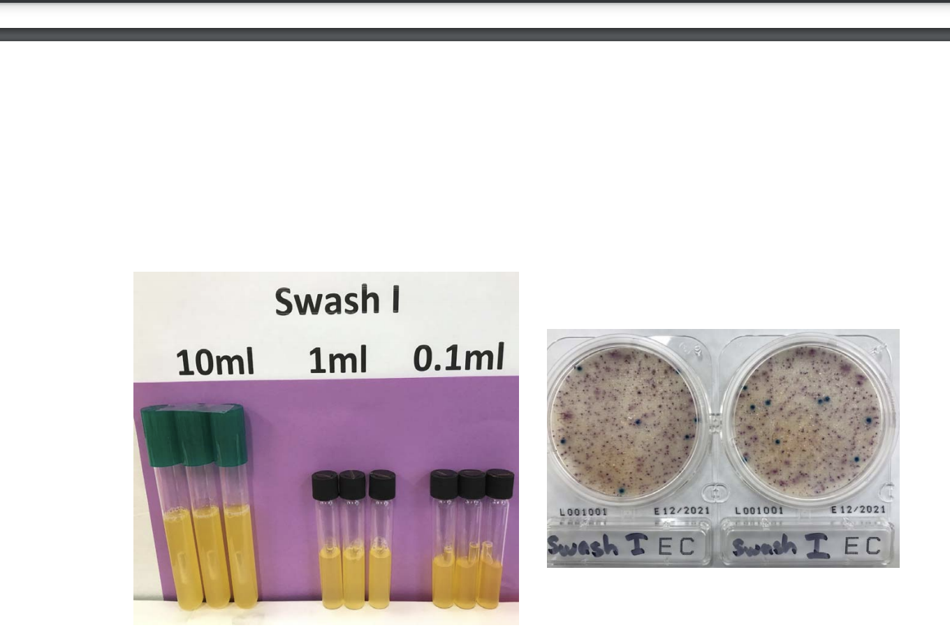 Exercise 12 7 Name: Swash water sample III Section: | Chegg.com