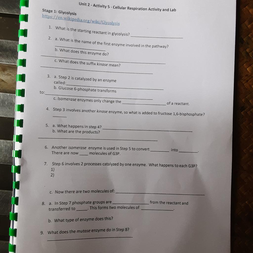 Solved Unit 2 - Activity 5 - Cellular Respiration Activity | Chegg.com