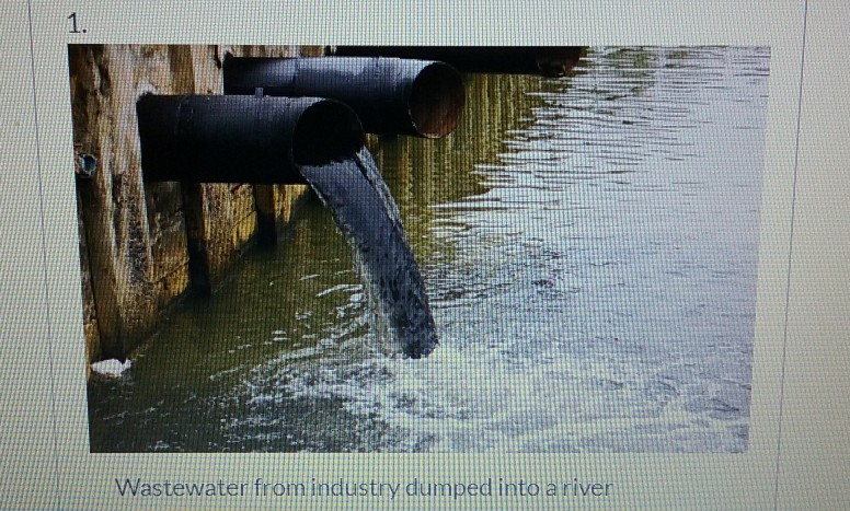 Solved label the following images as point or Nonpoint | Chegg.com